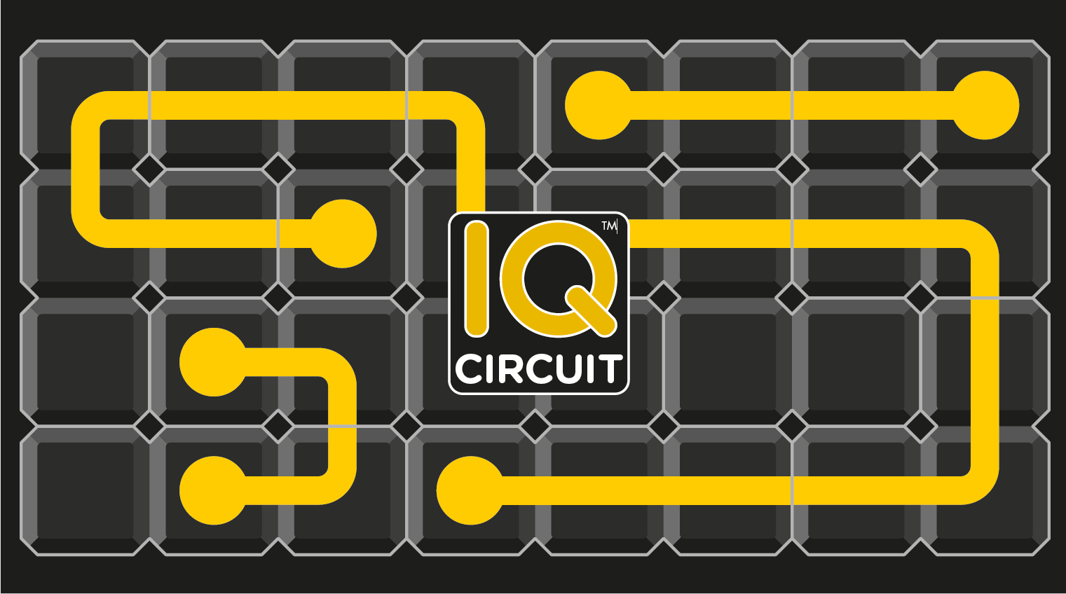 IQ Circuit - SmartGames